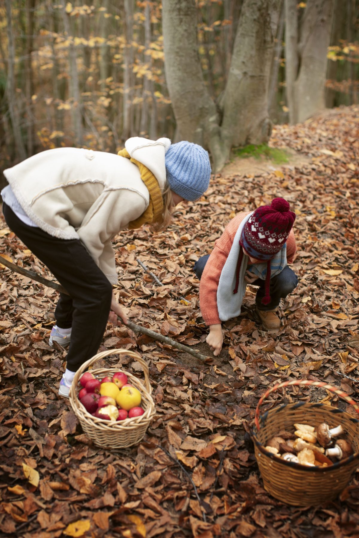 7 Mindful Autumn Activities: Embrace The Beauty Of Fall