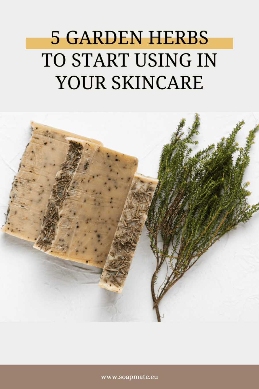 5 Herbal Soap Ingredients To Use From Your Garden Right Now